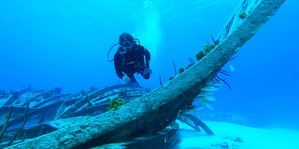 Explore Scuba Diving In Turks & Caicos | White Villas Resort